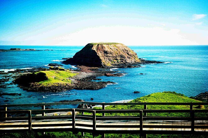 Melbourne Phillip Island 1 Day Tour - Final Thoughts