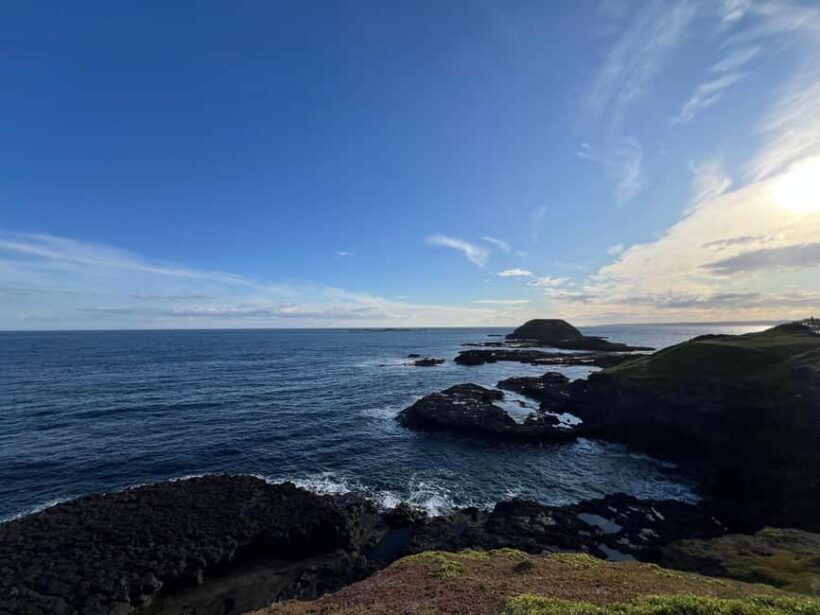 Melbourne: Phillip Island Private Tour including tickets - Why Choose This Tour?