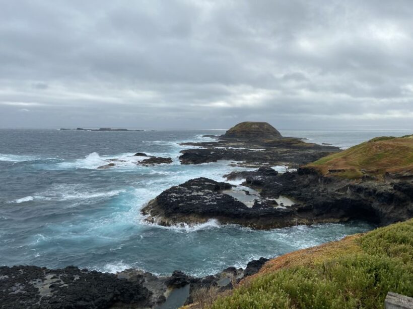 Melbourne: Phillip Island Tour & Penguin Parade - A Practical Breakdown of the Tour