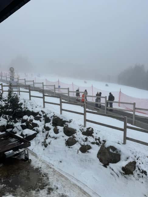 Melbourne: Private Lake Mountain Snow & Redwood Forest Tours - Analyzing the Value: Is It Worth the Price?