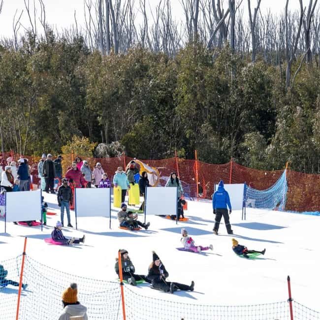 Melbourne: Private Lake Mountain Snow & Redwood Forest Tours - The Experience: A Closer Look at Each Stop