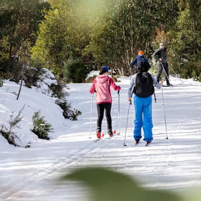 Melbourne: Private Lake Mountain Snow & Redwood Forest Tours - Who Should Consider This Tour?