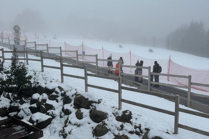 Melbourne: Private Lake Mountain Snow Tours & Redwood Rain Forest - How Does It Value Up?