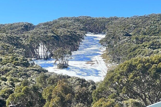 Melbourne: Private Lake Mountain Snow Tours & Redwood Rain Forest - The Sum Up