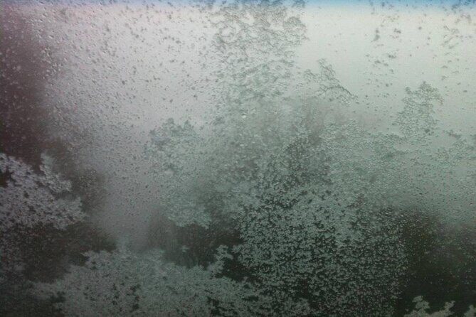 Melbourne: Private Mount Buller Snow and Ski Tours - Final thoughts on value