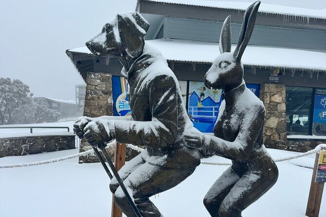 Melbourne: Private Mount Buller Snow and Ski Tours - Who should consider this tour?