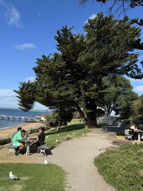 Melbourne: Private Phillip Island Penguin Parade Tours - Key Points