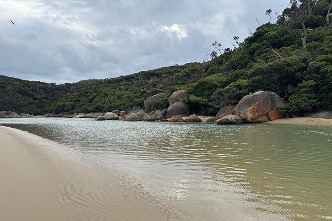 Melbourne: Private Wilson Promontory National Park Day Tours - Analyzing the Experience: What Makes This Tour Stand Out?