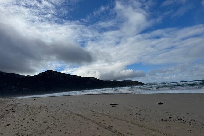 Melbourne: Private Wilson Promontory National Park Day Tours - The Sum Up