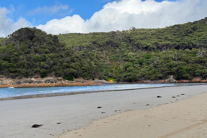 Melbourne: Private Wilson Promontory National Park Day Tours - Frequently Asked Questions