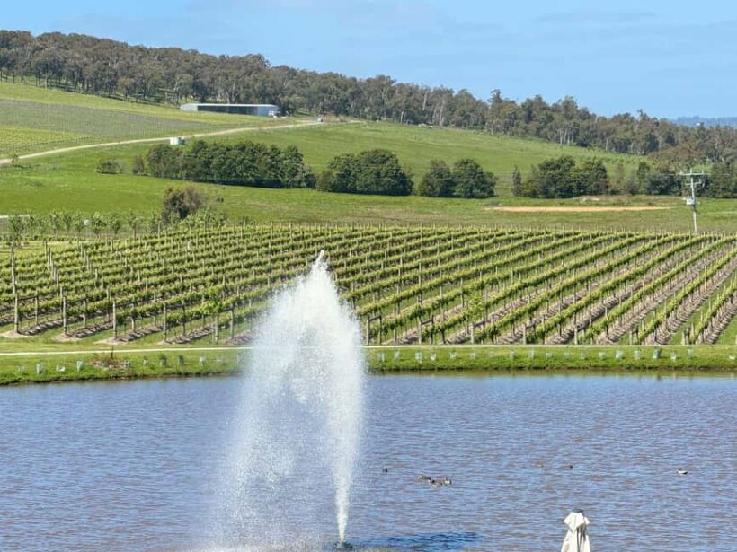 Melbourne: Private Wine tasting Yarra Valley Tours - FAQ