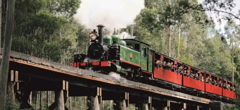 Melbourne: Puffing Billy and Moonlit Sanctuary Day Tour - Deep Dive into Each Stop: Why It Matters