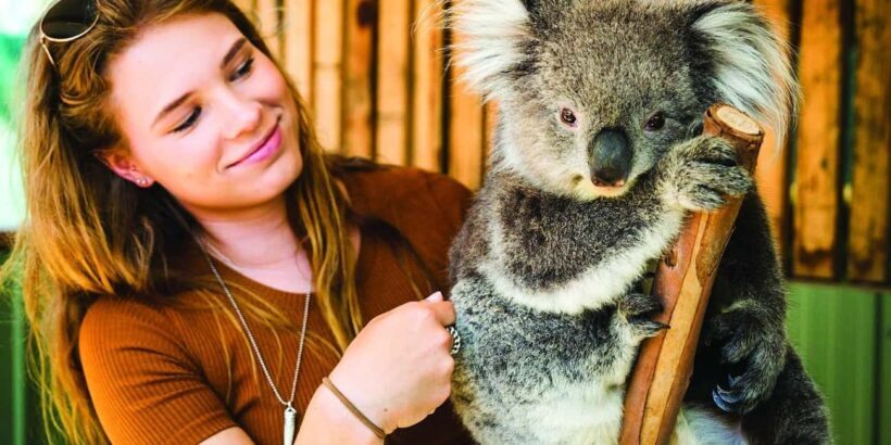 Melbourne: Puffing Billy and Moonlit Sanctuary Day Tour - Final Thoughts
