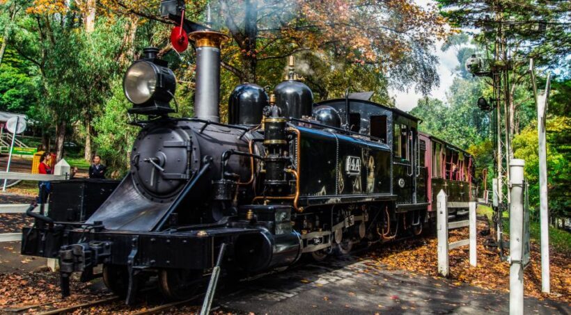 Melbourne: Puffing Billy & Healesville Sanctuary Scenic Tour - Value for Money and Pricing