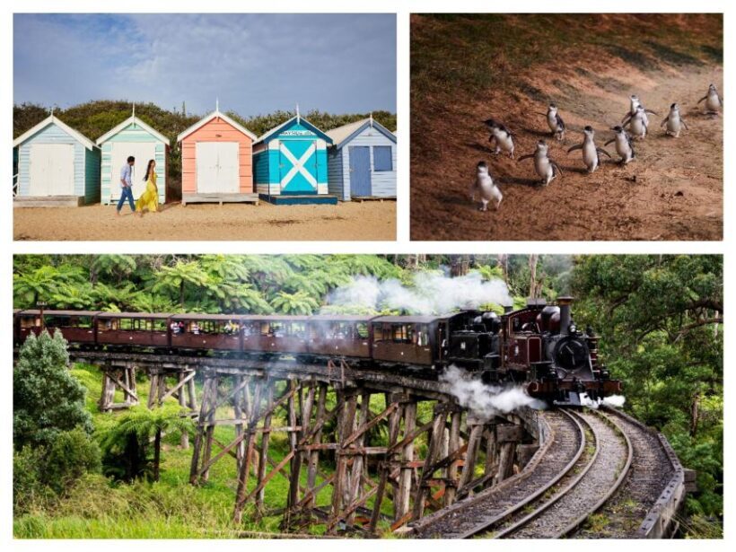 Melbourne: Puffing Billy Penguin Parade Brighton Boxes Tour - Exploring Phillip Island’s Scenic Coast & Penguin Parade