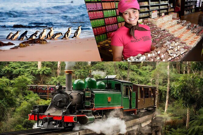 Melbourne Puffing Billy Penguin Yarra Valley Wine choc Tour - Key Points