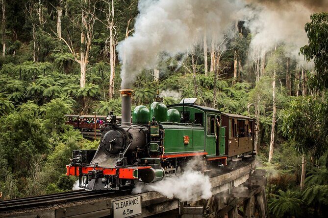 Melbourne Puffing Billy Penguin Yarra Valley Wine choc Tour - A Deep Dive into the Day’s Highlights