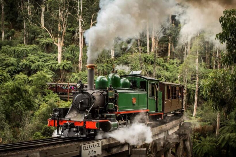 Melbourne: Puffing Billy Steam Train and Philip Island - Who Will Love This Tour?