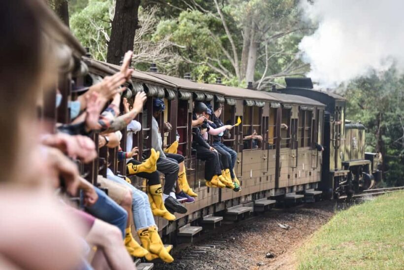 Melbourne: Puffing Billy Steam Train & Penguin Parade Tour - Final Summary