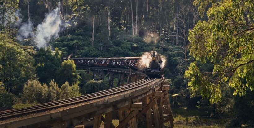 Melbourne: Puffing Billy Train & Healesville & Winery Tour - Key Points