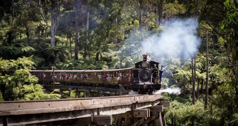 Melbourne: Puffing Billy Train & Penguin Island Excursion - The Practical Side: What Travelers Say