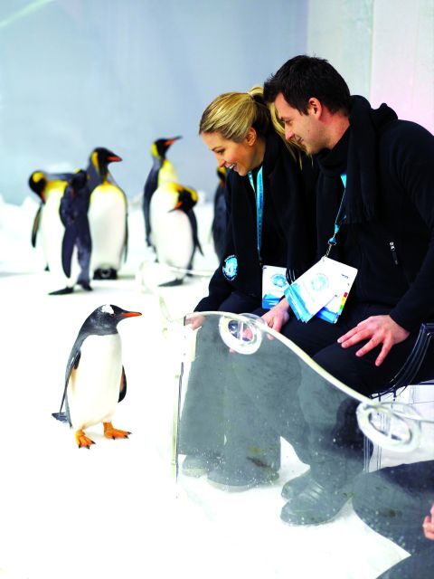 Melbourne: SEA LIFE Aquarium Entrance Ticket - A Deep Dive into the Aquarium Experience