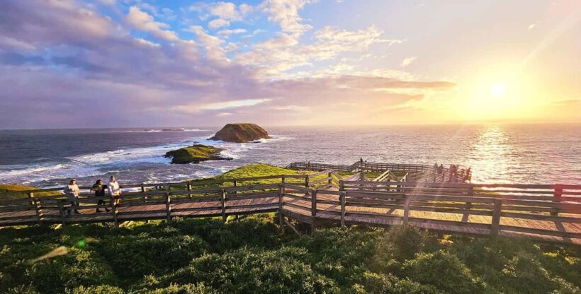 Melbourne: Seal Cruise and Penguin Parade of Phillip Island - Key Points