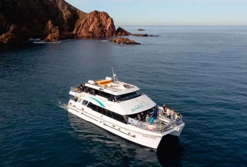 Melbourne: Seal Cruise and Penguin Parade of Phillip Island - Introduction to the Tour