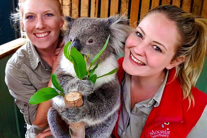 Melbourne Shore Excursion, Aussie Wildlife, Lunch, Wine & Sights - Final Thoughts: Who Is This Tour Perfect For?