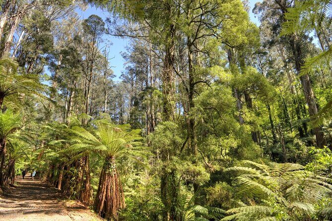 Melbourne Sky High - Private Bush Tour - FAQs about the Melbourne Sky High Bush Tour