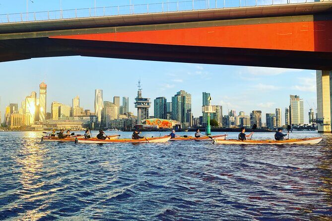 Melbourne Sunset Kayaking Experience with Dinner - The Final Verdict: Who Should Consider This Tour?