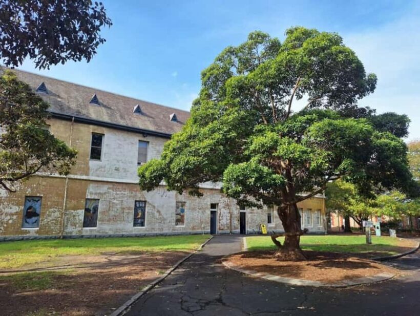 Melbourne: Walk the Yarra to Heritage Abbotsford Convent - A Close Look at the Tour Itinerary