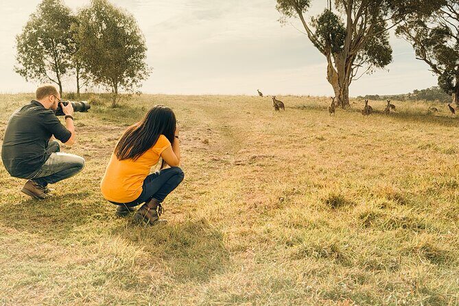 Melbourne wildlife nature hike with Kangaroos and sunset picnic! - Why Travelers Love This Tour