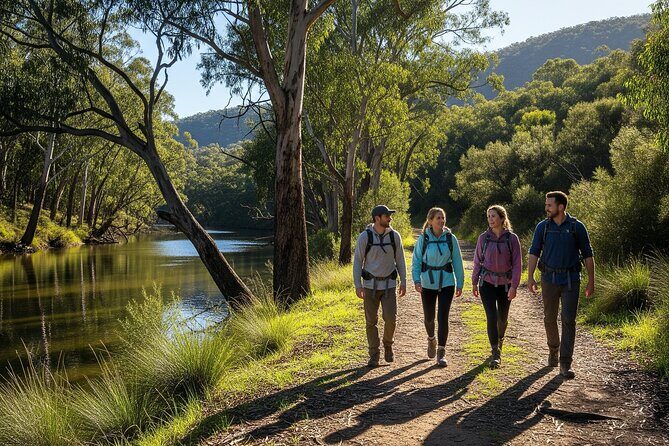 Melbourne wildlife nature hike with Kangaroos and sunset picnic! - Final Thoughts