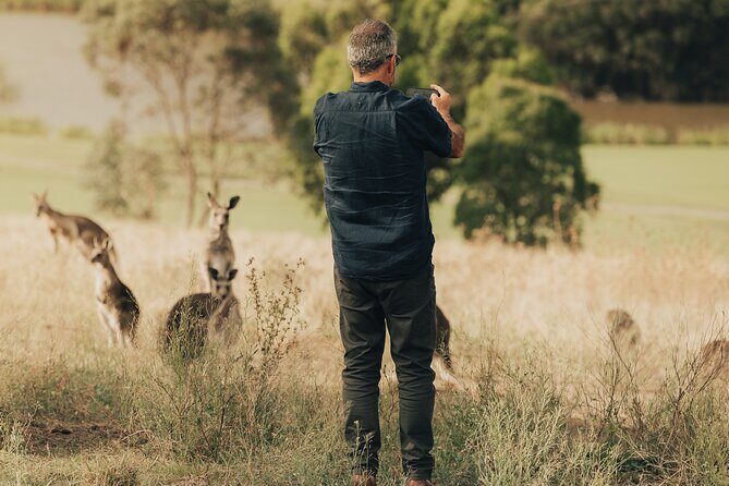 Melbourne wildlife nature hike with Kangaroos and sunset picnic! - Frequently Asked Questions