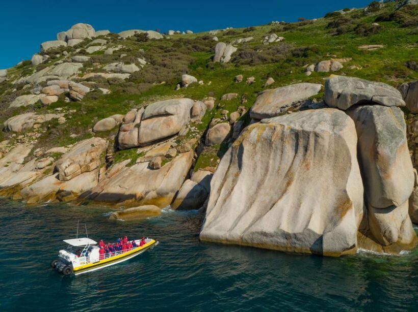 Melbourne: Wilsons Promontory Morning Wilderness Cruise - Key Points
