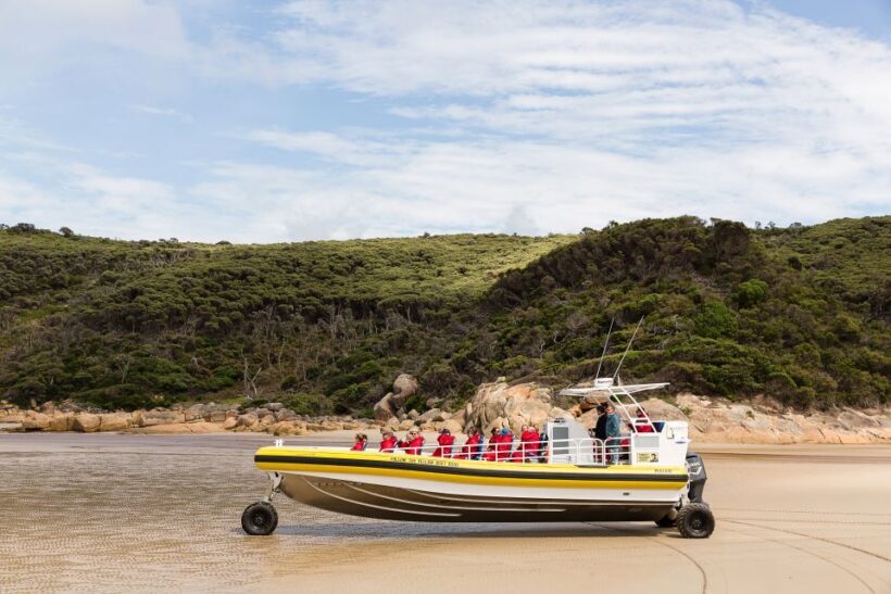 Melbourne: Wilsons Promontory Morning Wilderness Cruise - What to Expect: Practical Details and Experience Quality