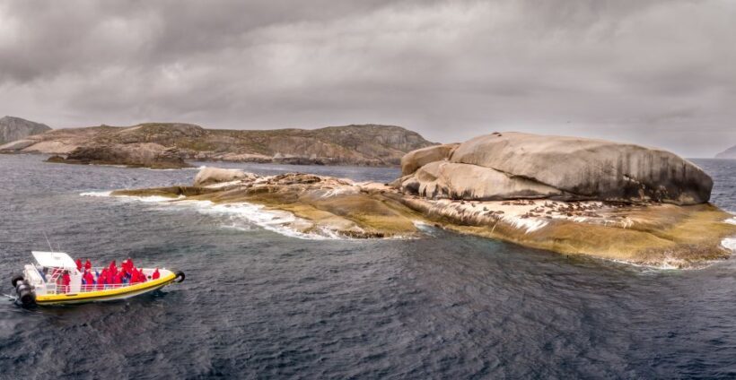 Melbourne: Wilsons Promontory Morning Wilderness Cruise - Authentic Experiences and Authenticity: What Travelers Say