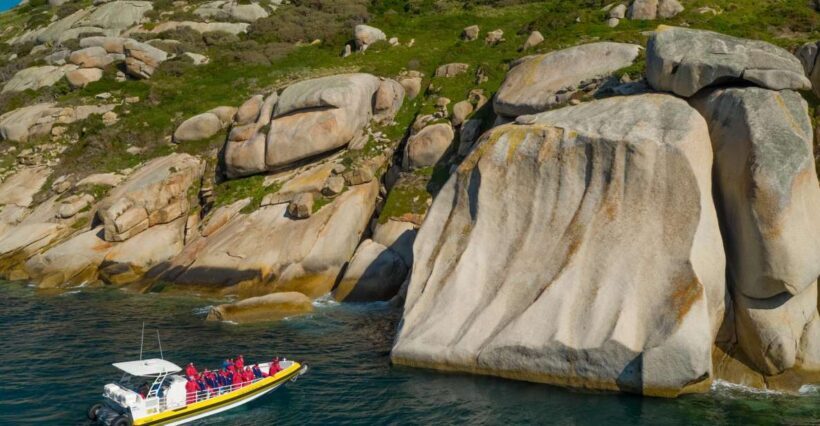 Melbourne: Wilsons Promontory Morning Wilderness Cruise - Who Should Consider This Tour?