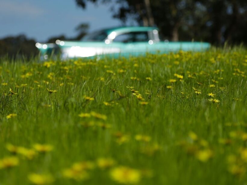 Melbourne: Yarra Valley Food & Wine Tour in a '56 Chevrolet - FAQs