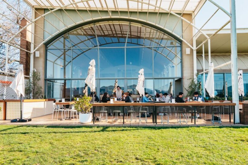 Melbourne: Yarra Valley Wine, Cider, Gin, Beer, & Choc Tour - Authentic Experiences and Highlights from Reviews