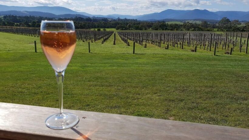 Melbourne: Yarra Valley Wine, Cider, Gin, Beer, & Choc Tour - FAQs