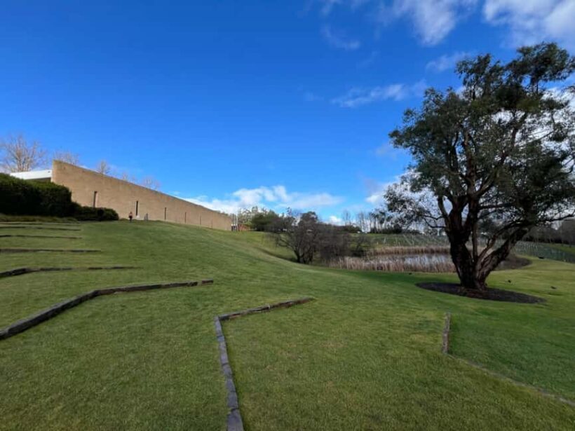 Melbourne: Yarra Valley Wineries Private Car Tour - A Deep Dive into the Tour Experience