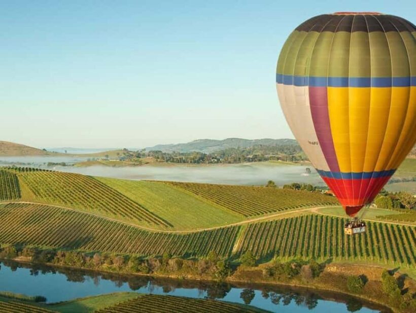 Melbourne: Yarra Valley Wineries Private Day Tour - Value and Practicality