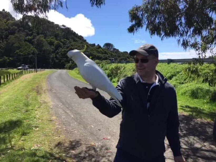 Melbourne: Yarra Valley Winery Private Tour with Lunch - Practical Details