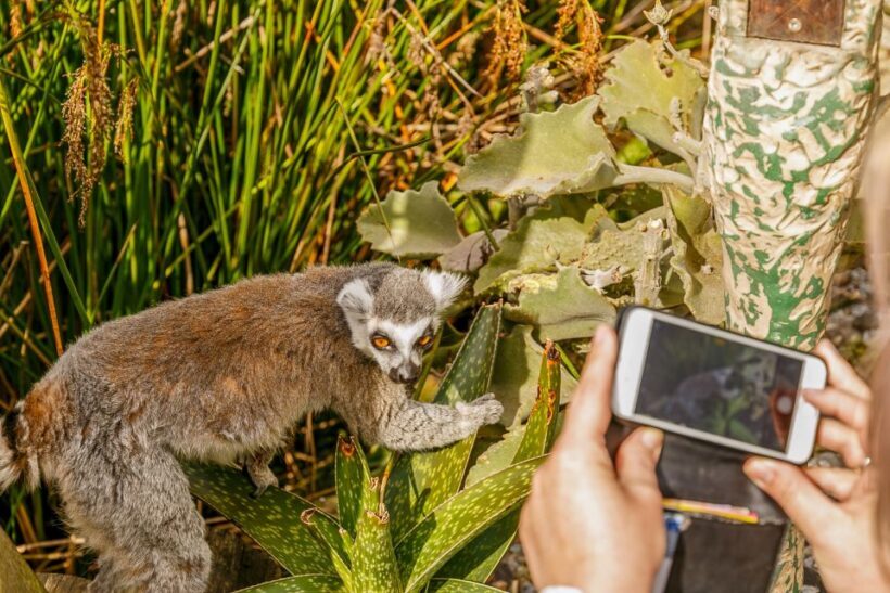 Melbourne Zoo: 1-Day Entry Ticket - Who Should Visit?