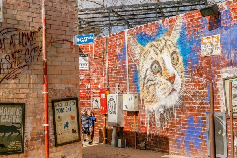 Melbourne Zoo: 1-Day Entry Ticket - FAQ