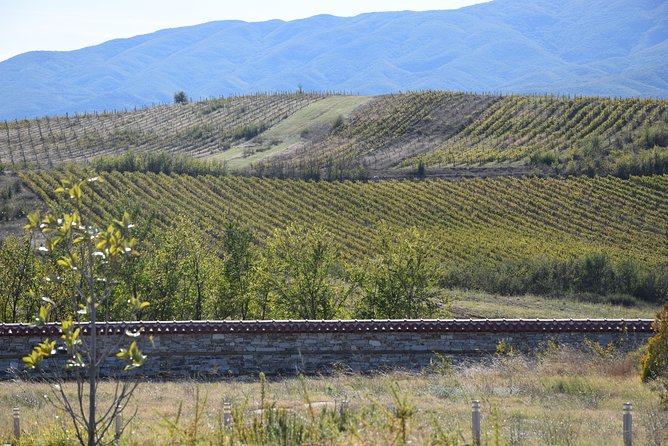 Melnik Wine Tasting tour from Sofia - Who Should Consider This Tour?