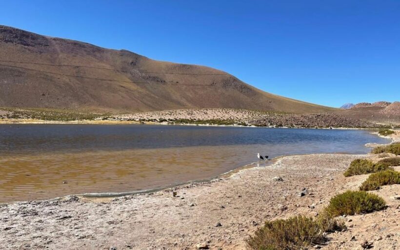Memorable Tatio Geysers Tour with Flamingos and Scenic Views - An In-Depth Look at the Tour Experience