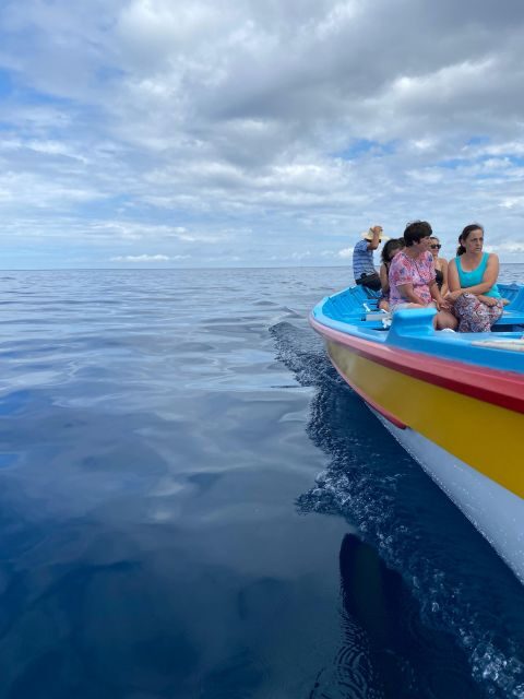 Memória Baleeira - Unforgetable Ride in the waters of Pico - Whats Included and Why It Matters